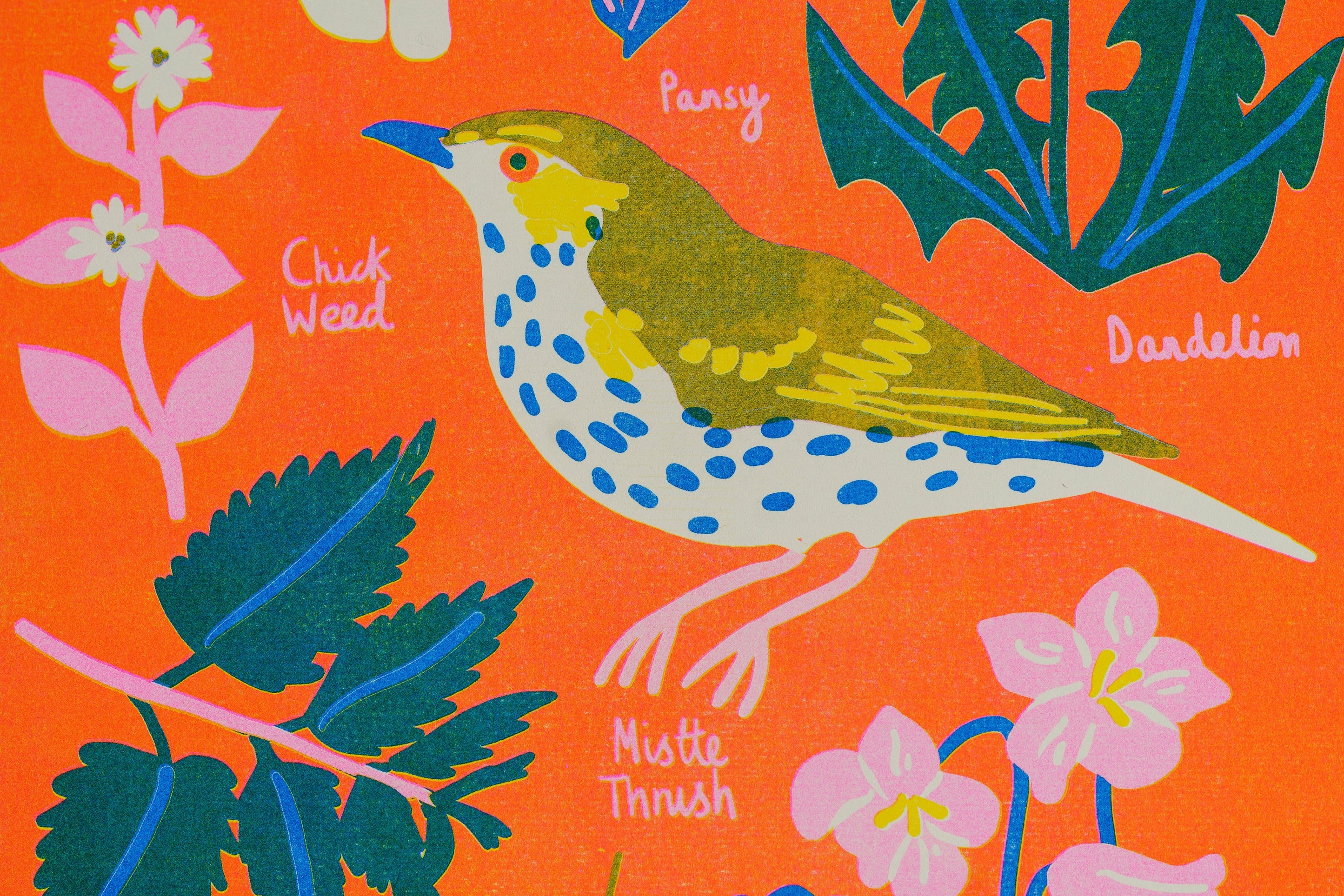 February Forage Print – Naomi Wilkinson
